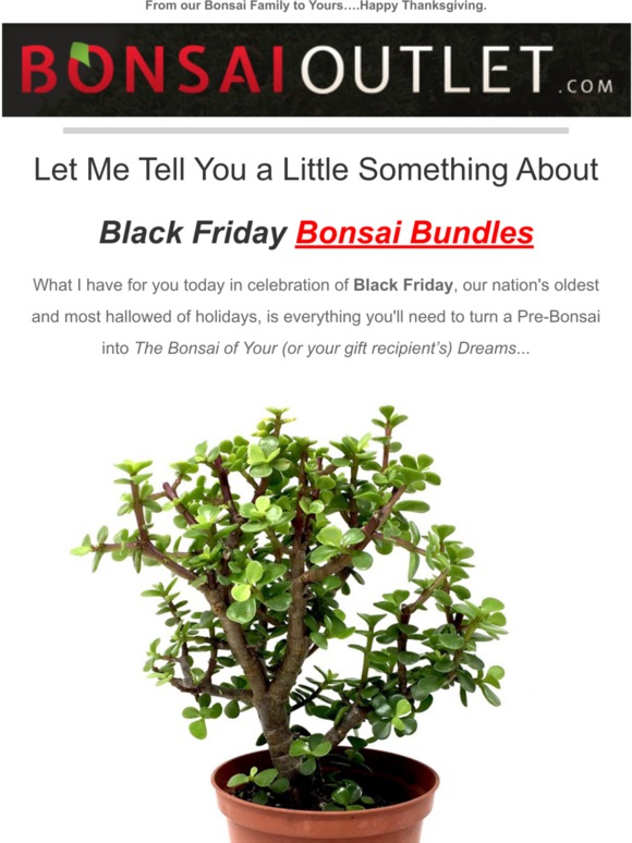 Bonsai Outlet: DIY Bonsai Black Friday Savings from Bonsai Outlet | Milled
