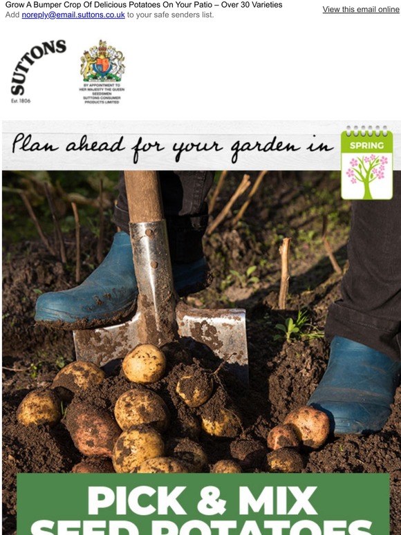 Suttons Seeds: Seed Potatoes – Order Now! | Milled