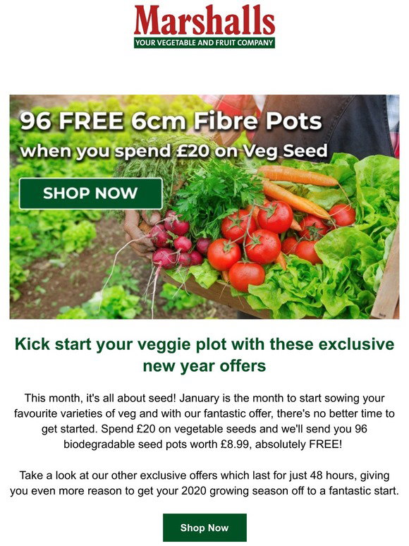 Marshalls Seeds: Kick start your veggie plot with these exclusive new ...