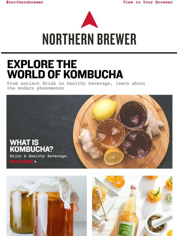 Northern Brewer: To Your Health! Happy National Kombucha Day! | Milled