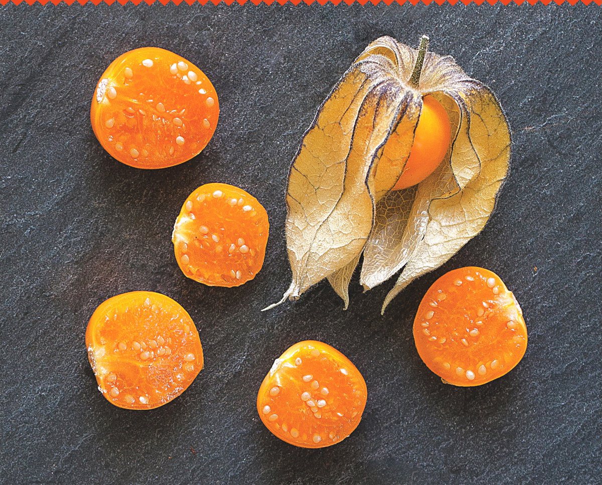 Patagonia: What exactly is an Inca berry? | Milled