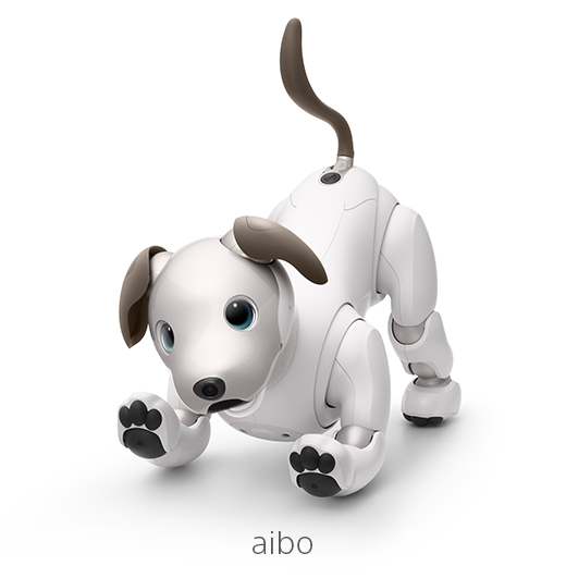 Sony Store: Introducing New Financing Options for aibo | Milled