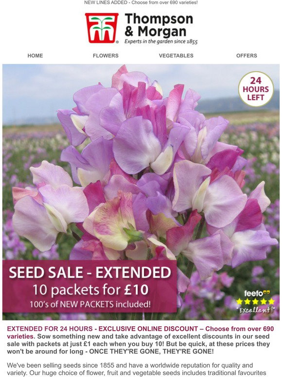 Thompson & Morgan: EXTENDED FOR 24 HOURS – 10 packets of seed for just ...