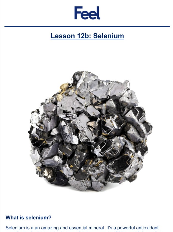 Feel: Learn About Selenium in 5 Minutes – The Health Dossier with ...