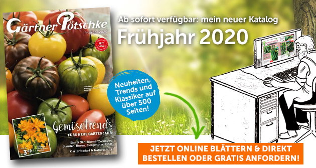 Pötschke - Garten und Pflanzen Versand: 🌼 Für üppige Blütenpracht! | Milled