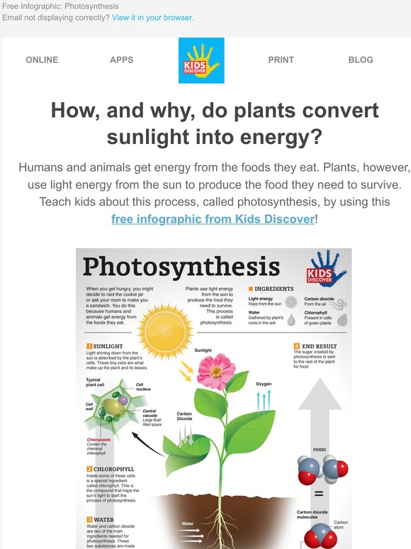 Kids Discover: Free Infographic: Photosynthesis ☀️🌷 | Milled