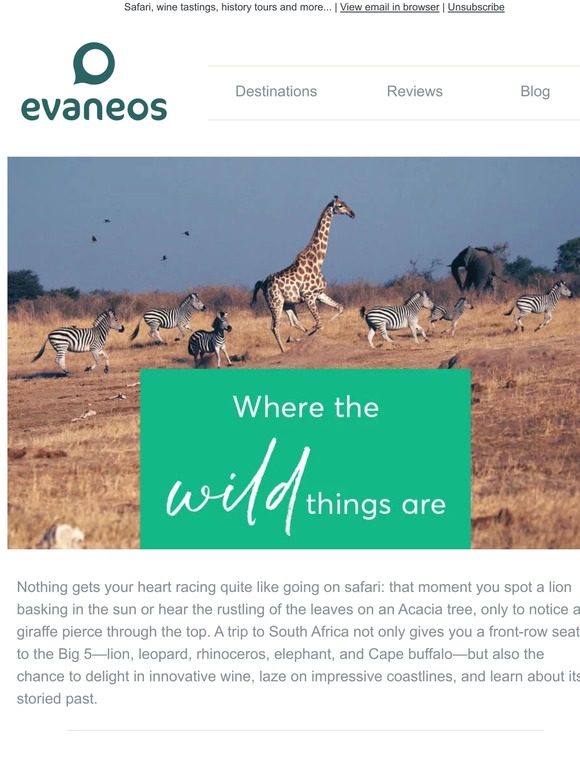 Evaneos: What to see, do, and experience in South Africa | Milled