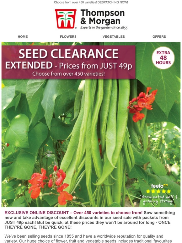 Thompson & Morgan: SEED CLEARANCE from ONLY 49p a packet! EXTRA 2 DAYS ...