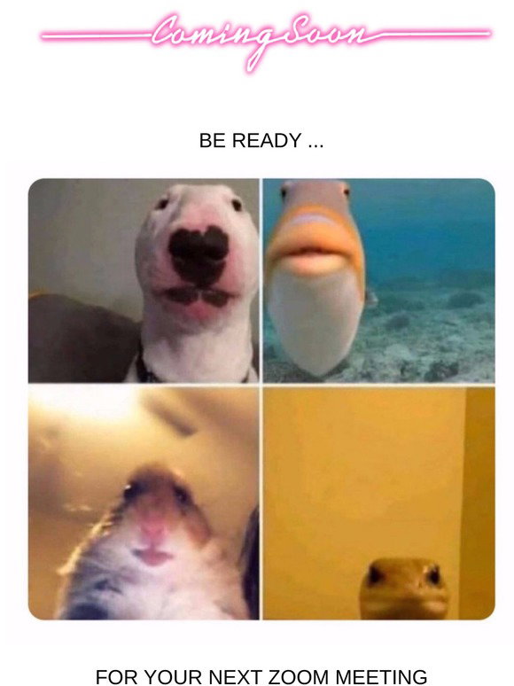 Coming Soon: BE READY FOR YOUR NEXT ZOOM MEETING | Milled
