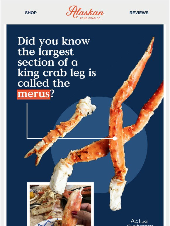 Alaskan King Crab Co.: Anatomy Lesson: 🦀 Style | Milled