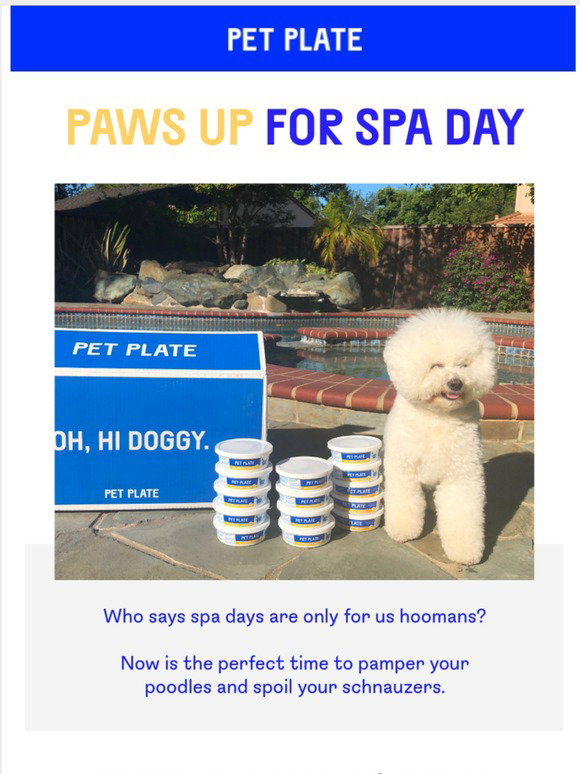 PetPlate: DIY pup spa day? Yeah, it’s a thing. | Milled