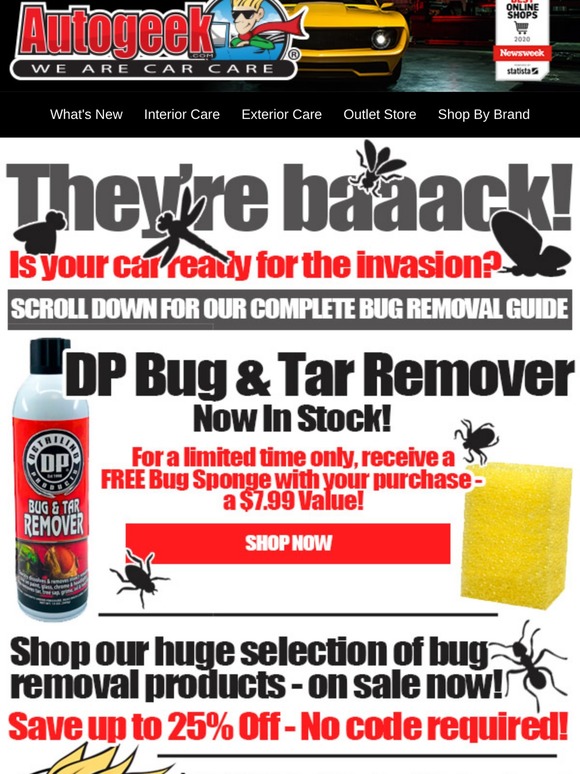 Autogeek: Theeey're Back - BUGS! Check Out Our Full Bug Removal Guide ...
