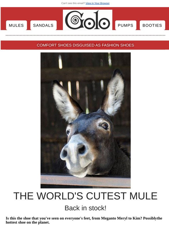 Butter Shoes: The world's cutest mule is back in stock - plus $25 promo ...