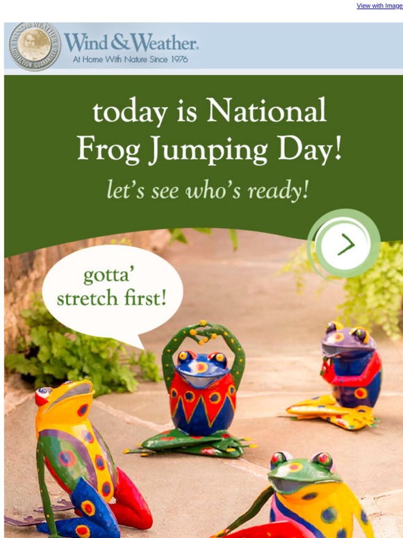 Wind and Weather: Happy National Frog Jumping Day! | Milled