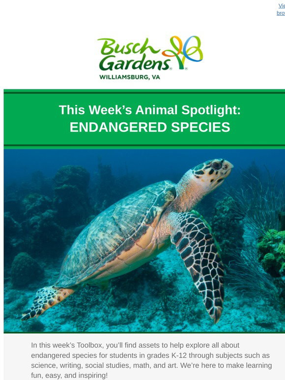Busch Gardens: 🐾 Learn All About Endangered Species with Free Resources ...