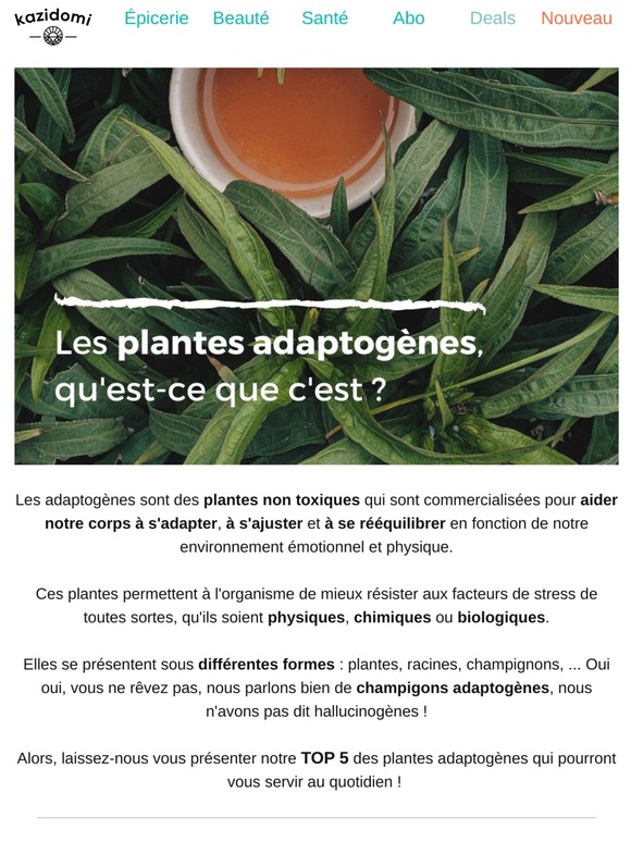 Kazidomi.com/nl: Les plantes adaptogènes, qu'est-ce que c'est ? 🍃 | Milled