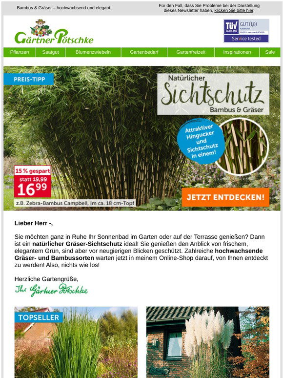 Pötschke: 👀 So schön kann Sichtschutz sein! | Milled