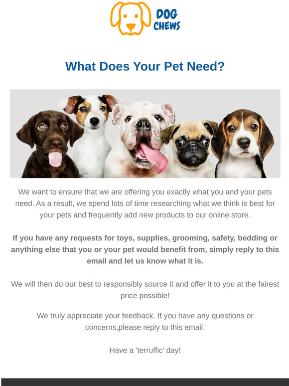 Dog Chews Store: What Does Your Pet Need? 😻 | Milled