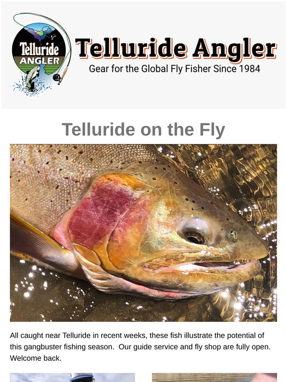 Telluride Angler: Telluride Trout: fishing erupts in SW Colorado | Milled