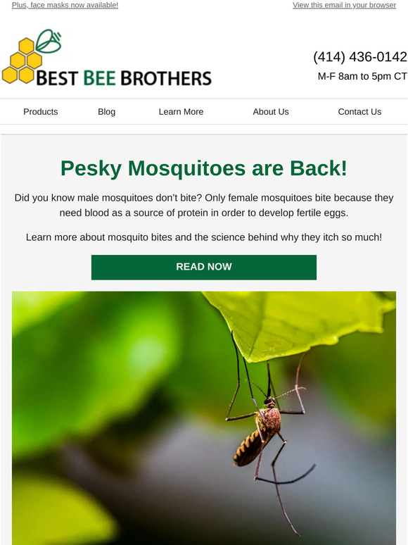 Best Bee Brothers: Prevent Pesky Mosquitoes Naturally! | Milled