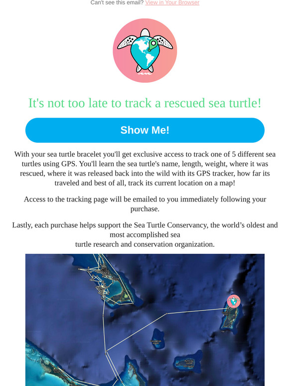 Ocean & Co: Sea Turtle GPS Tracking | Milled