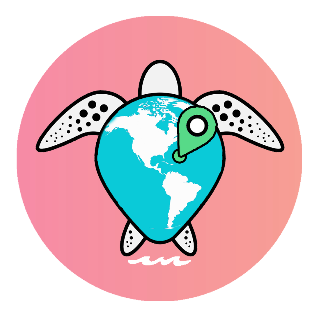 Ocean & Co: Sea Turtle GPS Tracking | Milled