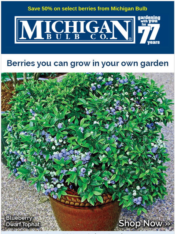 Michigan Bulb: What’s juicy, sweet, and half off? | Milled
