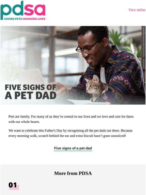 PDSA: Signs of a pet dad, countryside walks & socialising your kitten ...