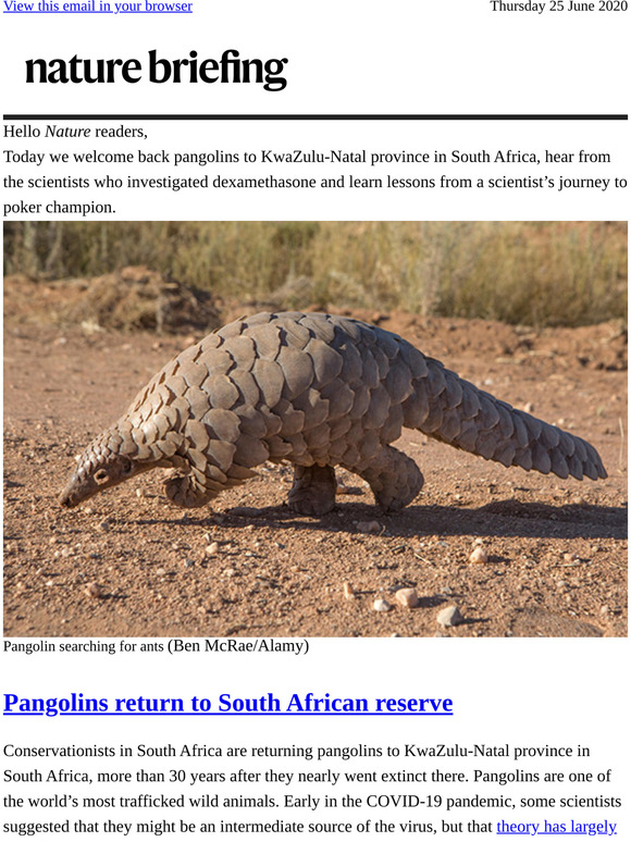 Nature: Pangolins return to a region where they were once extinct | Milled