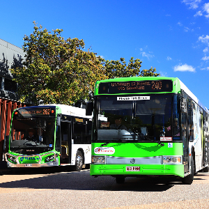 TransLink: Explore the region these holidays | Yarrabilba gets first ...