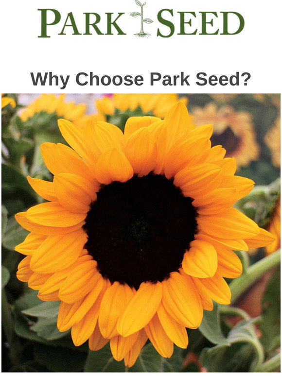 Park Seed: A commitment to quality and our customers | Milled