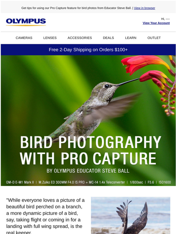 Olympus: 🐦 Bird Photography with Pro Capture | Milled
