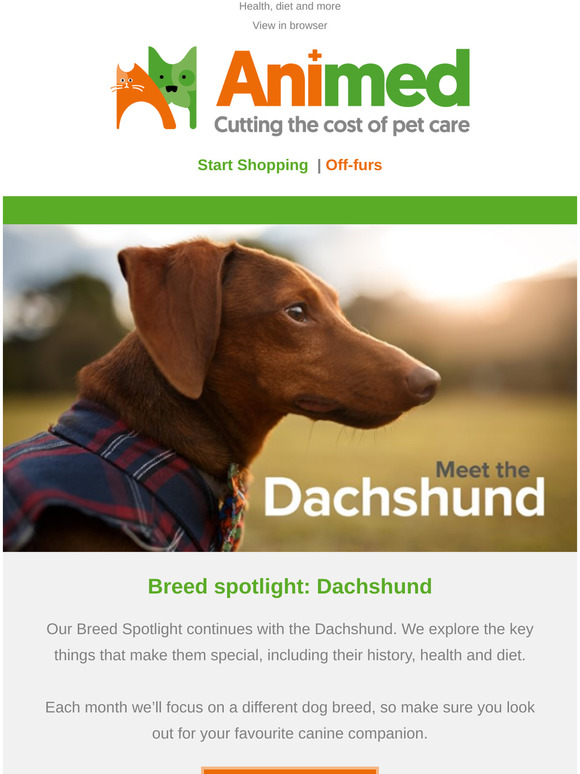 Animed Direct: Breed Spotlight: Dachshund 🐶 | Milled