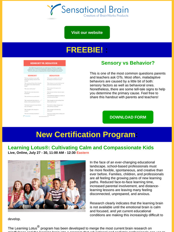 Sensational Brain: Free Printable! Sensory vs Behavior | Milled
