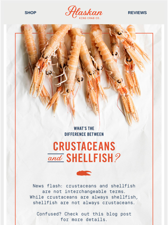 Alaskan King Crab Co.: Crustaceans vs. Shellfish: What's the Difference ...