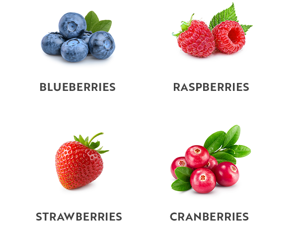 Dr. Kellyann: The benefits of SUPER berries... | Milled