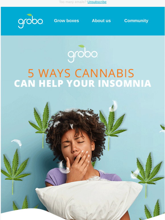 Grobo: Have some weed and catch some Zzz’s! 😴 | Milled