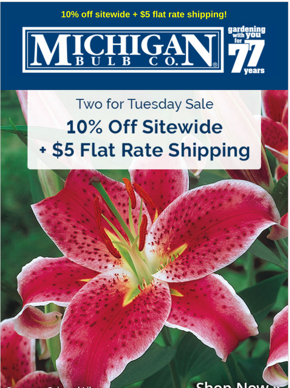 MichiganBulbCompany: 2 for Tuesday: Double deals from Michigan Bulb ...