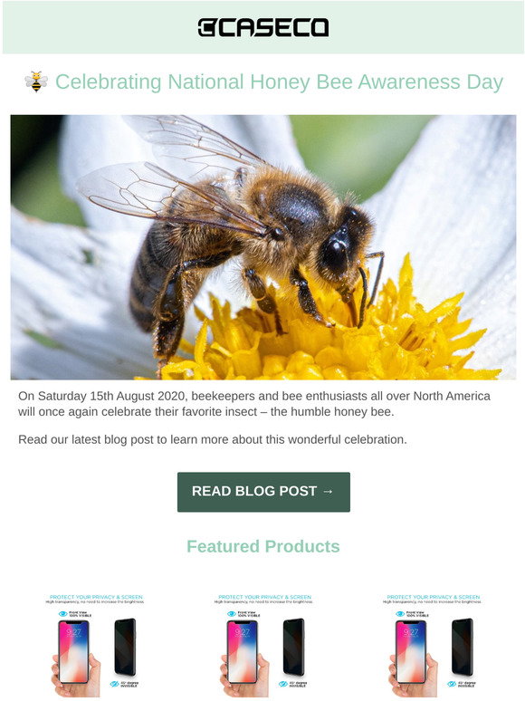 Caseco: 🐝 Celebrating National Honey Bee Awareness Day | Milled