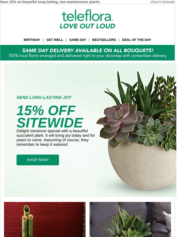 Teleflora: Plants They'll Love 🌵 | Milled