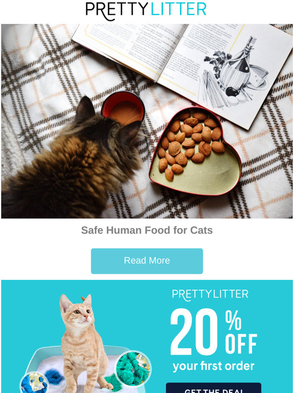 Pretty Litter: 10 Human Foods That Are Safe for Cats | Milled