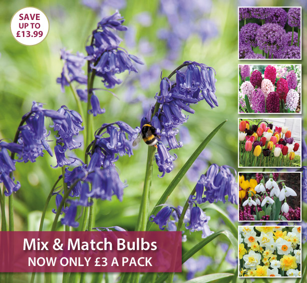 Thompson & Morgan: Only £3! Mix & Match Bulb Packs, over 100 to choose ...