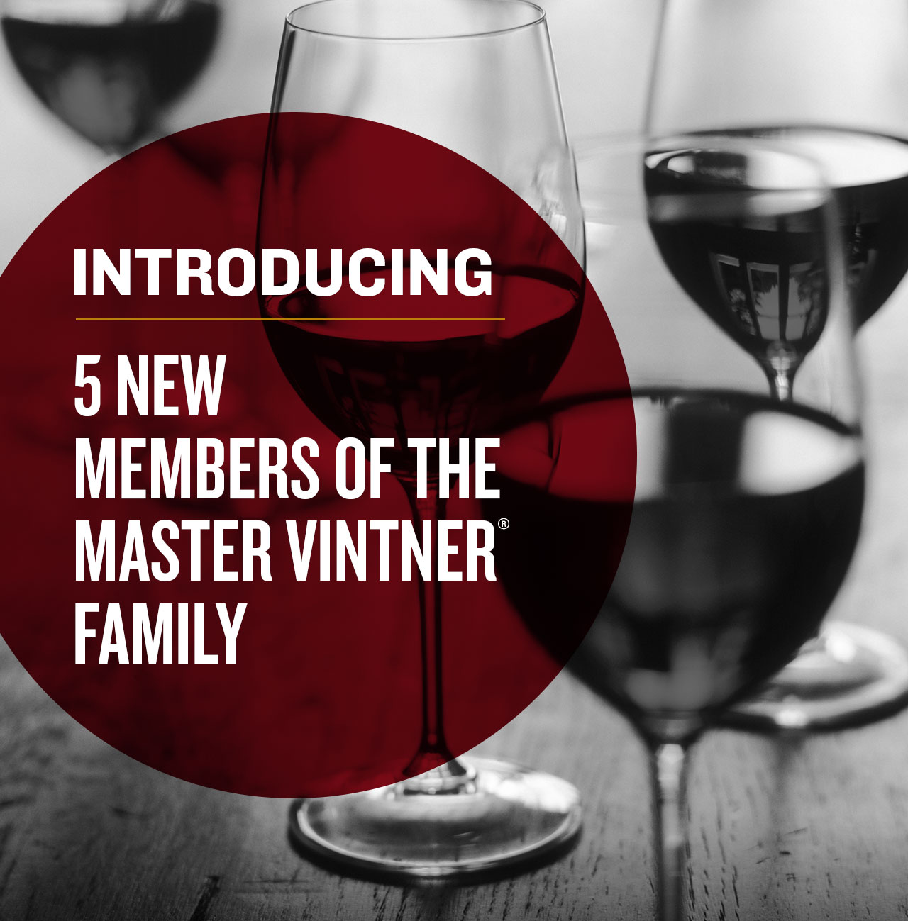 Northern Brewer Home Brewing Supplies: NEW Master Vintner Reds Now ...