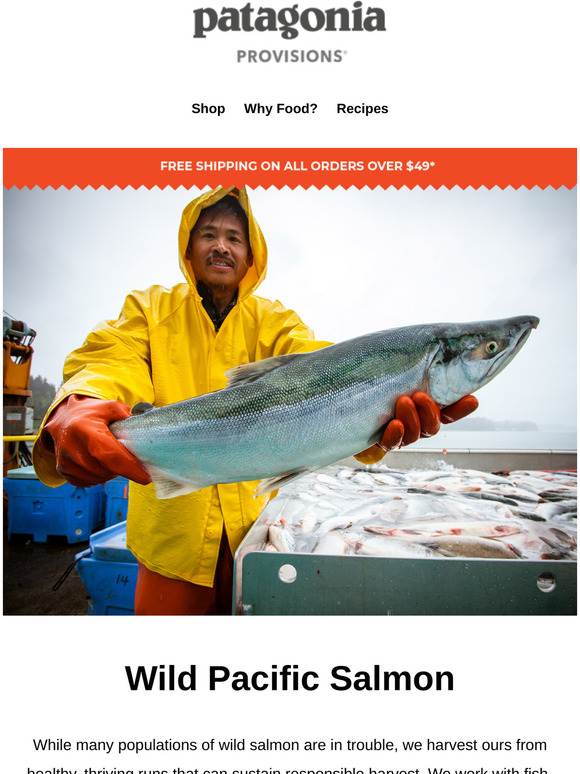 Patagonia: Delicious, responsibly sourced wild salmon | Milled