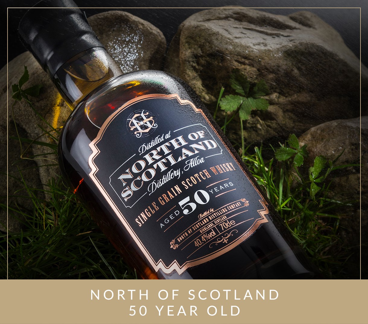 The Whisky Exchange: North Of Scotland 50 Year Old | Milled