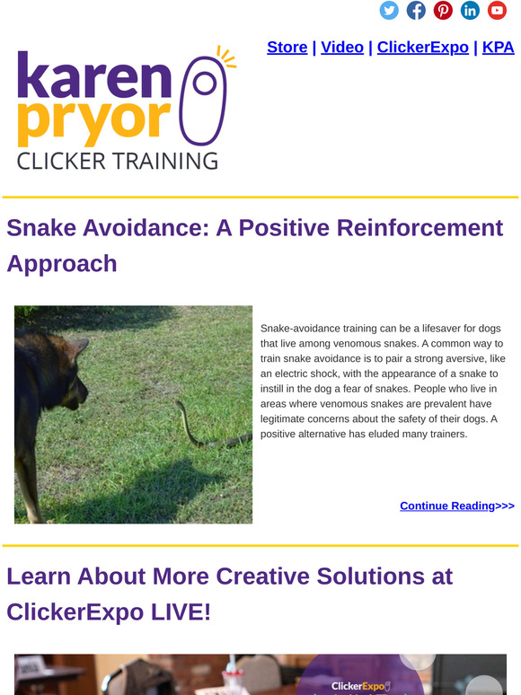 Karen Pryor Clicker Training: Letter from Ken: Snake Avoidance - A Positive Reinforcement ...