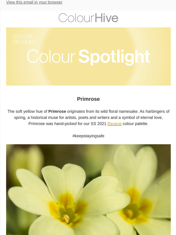 Color Hive: SS 2021: Colour Spotlight | Milled