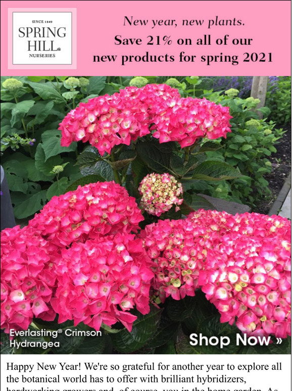 Spring Hill Nursery: Welcome to the 2021 garden. | Milled