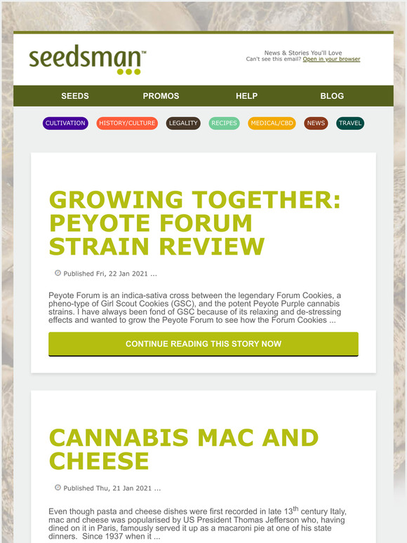 SeedsMan: Growing Together: Peyote Forum Strain Review | Milled