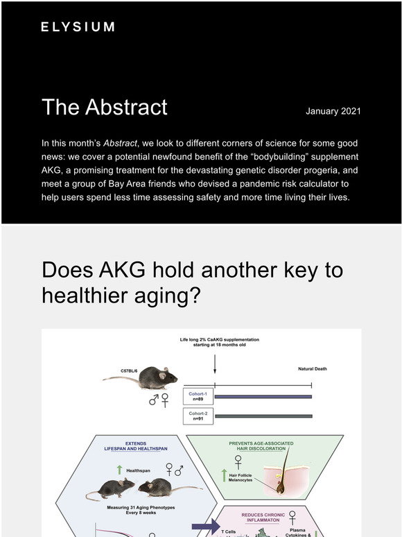 Elysium Health: The Abstract: Does AKG have the potential to improve ...
